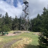 Balsam Lake Mountain via Dry Brook Ridge Trail, New York - 950 Reviews ...