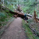 Rampart Ridge Loop, Washington - 2,180 Reviews, Map | AllTrails