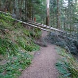 Rampart Ridge Loop, Washington - 2,247 Reviews, Map | AllTrails