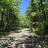 Busch Wildlife Biking-Hiking Trail, Missouri - 660 Reviews, Map | AllTrails