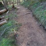 Rampart Ridge Loop, Washington - 2,247 Reviews, Map | AllTrails