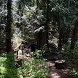 Idler's Rest Nature Preserve, Idaho - 318 Reviews, Map | AllTrails