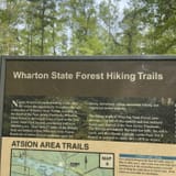 Batona Trail, New Jersey - 358 Reviews, Map | AllTrails