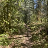 Putnam Loop, Washington - 109 Reviews, Map | AllTrails