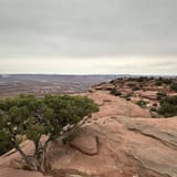Murphy Point Trail, Utah - 1,122 Reviews, Map | AllTrails