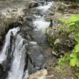 Falling Branch Trail to Kilgore Falls, Maryland - 1,375 Reviews, Map ...