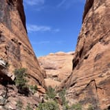 Syncline Loop, Utah - 1,024 Reviews, Map | AllTrails