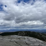 Mount Cardigan Loop Trail, New Hampshire - 2,000 Reviews, Map | AllTrails