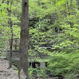 Cascade Falls Loop Trail, Massachusetts - 875 Reviews, Map | AllTrails