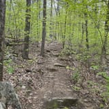 Cascade Falls Loop Trail, Massachusetts - 875 Reviews, Map | AllTrails
