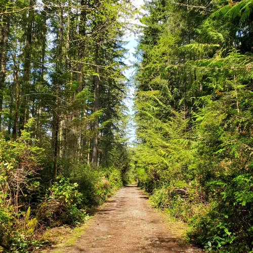 Best Horseback Riding Trails in Gig Harbor | AllTrails