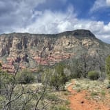 Wilson Mountain Trail, Arizona - 1,163 Reviews, Map | AllTrails