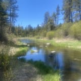 Williamson River, Oregon - 82 Reviews, Map | AllTrails