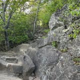 Sharp Top Trail, Virginia - 2,843 Reviews, Map | AllTrails