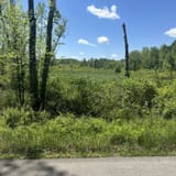 Nebo Ridge Trail, Indiana - 196 Reviews, Map | AllTrails