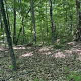 Nebo Ridge Trail, Indiana - 196 Reviews, Map | AllTrails