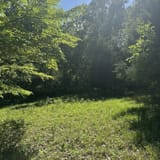 Nebo Ridge Trail, Indiana - 196 Reviews, Map | AllTrails