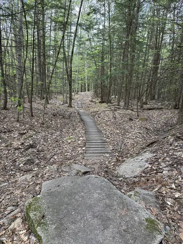 Best Walking Trails in Lebanon | AllTrails