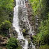 Mingo Falls Trail, North Carolina - 1,757 Reviews, Map | AllTrails