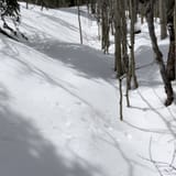 Ben Tyler Trail, Colorado - 722 Reviews, Map | AllTrails