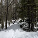 Ben Tyler Trail, Colorado - 722 Reviews, Map | AllTrails