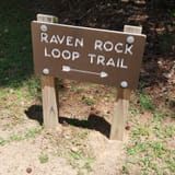 Raven Rock Loop Trail, North Carolina - 2,582 Reviews, Map | AllTrails