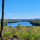 Swope Loop to Pine Hill, New Hampshire - 160 Reviews, Map | AllTrails