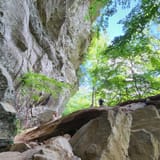 Raven Rock Loop Trail, North Carolina - 2,582 Reviews, Map | AllTrails