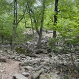 Mount Tammany via Red Dot and Blue Dot Loop Trail, New Jersey - 13,268 ...