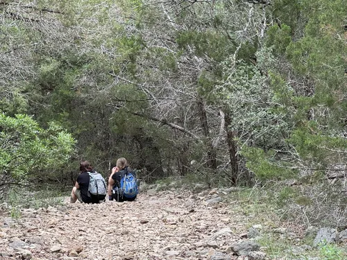 Best Camping Trails in Vanderpool | AllTrails