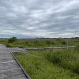 Sheldon Lake State Park Nature Loop, Texas - 245 Reviews, Map | AllTrails