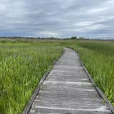 Sheldon Lake State Park Nature Loop, Texas - 245 Reviews, Map | AllTrails