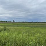 Sheldon Lake State Park Nature Loop, Texas - 245 Reviews, Map | AllTrails