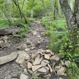 Hawksbill Loop Trail, Virginia - 4,451 Reviews, Map | AllTrails