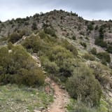 Mount Morrison Trail, Colorado - 5,732 Reviews, Map | AllTrails