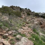 Mount Morrison Trail, Colorado - 5,732 Reviews, Map | AllTrails