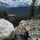 Castle Mountain Lookout Trail, Alberta, Canada - 1,896 Reviews, Map ...
