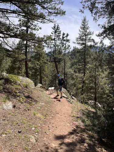 Best Forest Trails in Walker Ranch Park | AllTrails