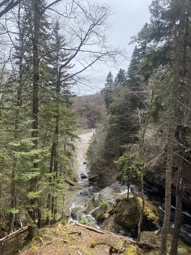 Best Easy Trails in Little Salmon River Nature Preserve | AllTrails