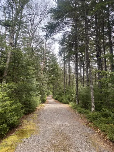 Best Easy Trails in Little Salmon River Nature Preserve | AllTrails