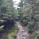 Slide Mountain Trail, New York - 1,600 Reviews, Map | AllTrails