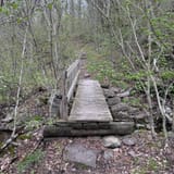 Slide Mountain Trail, New York - 1,663 Reviews, Map | AllTrails