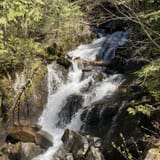 Ira Spring Memorial Trail, Washington - 2,086 Reviews, Map | AllTrails