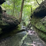 Turkey Run Outer Loop, Indiana - 634 Reviews, Map | AllTrails