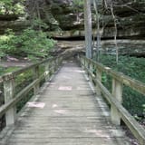 Turkey Run Outer Loop, Indiana - 618 Reviews, Map | AllTrails