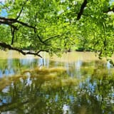 White River Greenway Loop, Indiana - 92 Reviews, Map | AllTrails