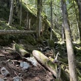 Crooked Falls, British Columbia, Canada - 772 Reviews, Map | AllTrails