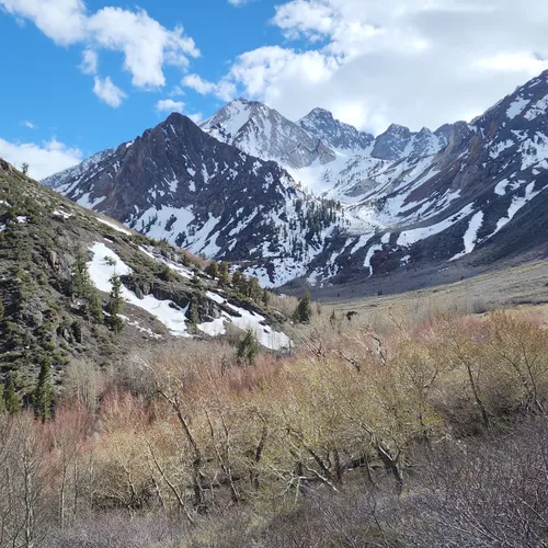 Best Hikes and Trails in Crowley Lake | AllTrails