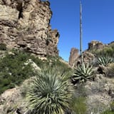 Rogers Canyon Trail via Reavis Ranch Trail, Arizona - 324 Reviews, Map ...