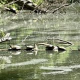 Saunders Springs Nature Preserve Loop, Kentucky - 400 Reviews, Map ...